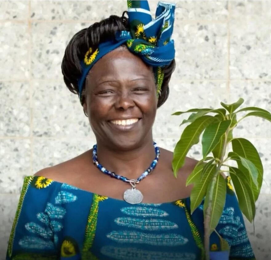 Honoring Wangari Maathai: Kenya's First Female Professor And First ...